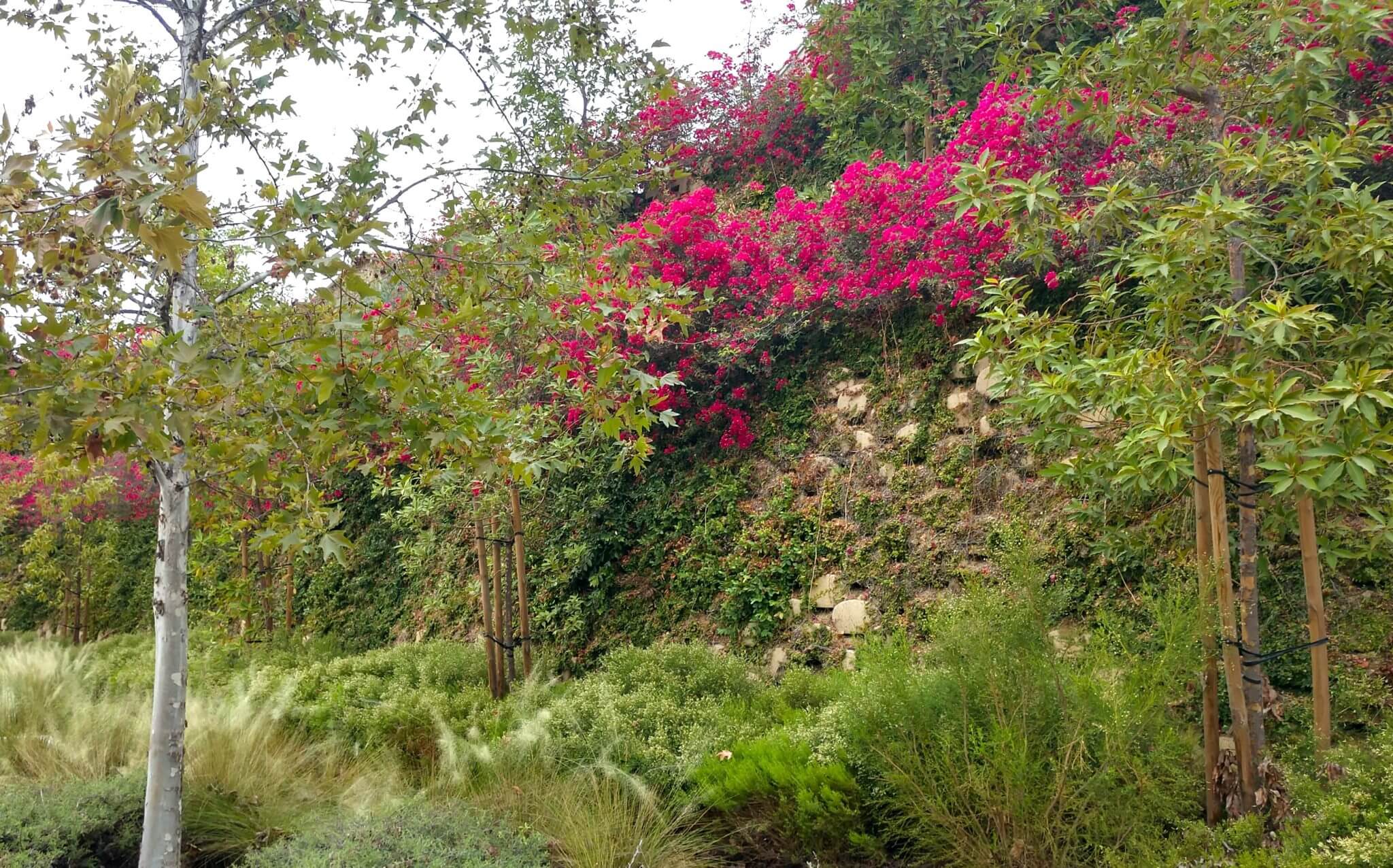 Retaining Walls That Never Failed (Verdura Block from Soil Retention ...